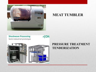 Meat tenderization | PPTX