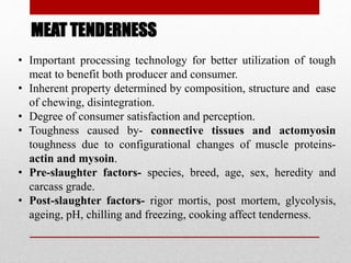 Meat tenderization | PPTX