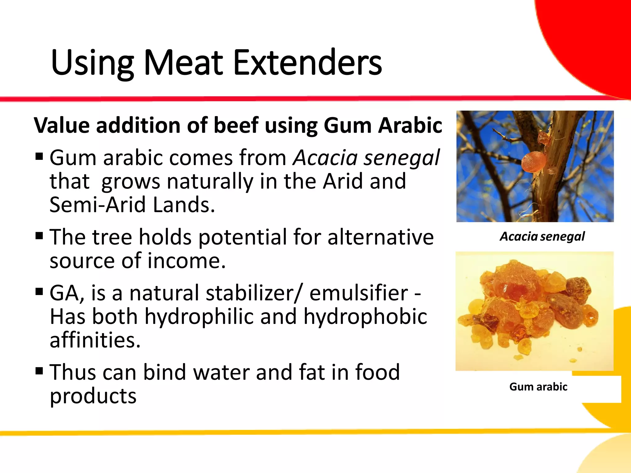 Meat value addition | PDF