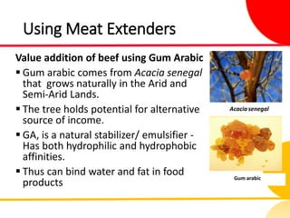 Meat value addition | PDF