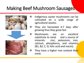 Meat value addition | PDF