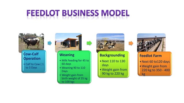 Meat value chain mar-22 - dr zubair | PPT