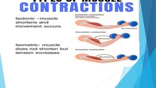 MEAUREMENT OF STATIC AND DYNAMIC POWER TEST.pptx