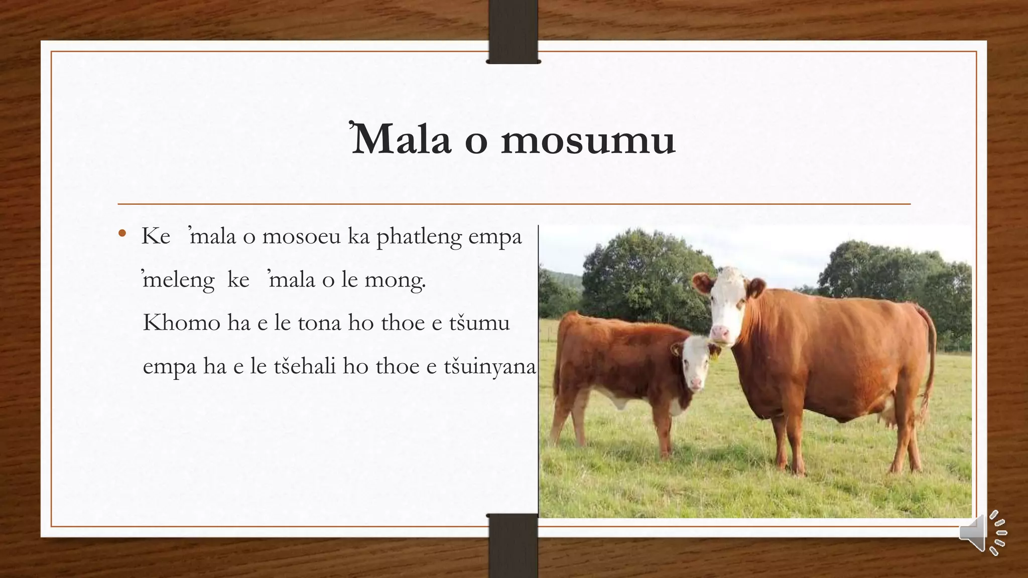 MEBALA EA LIKHOMO.pptx