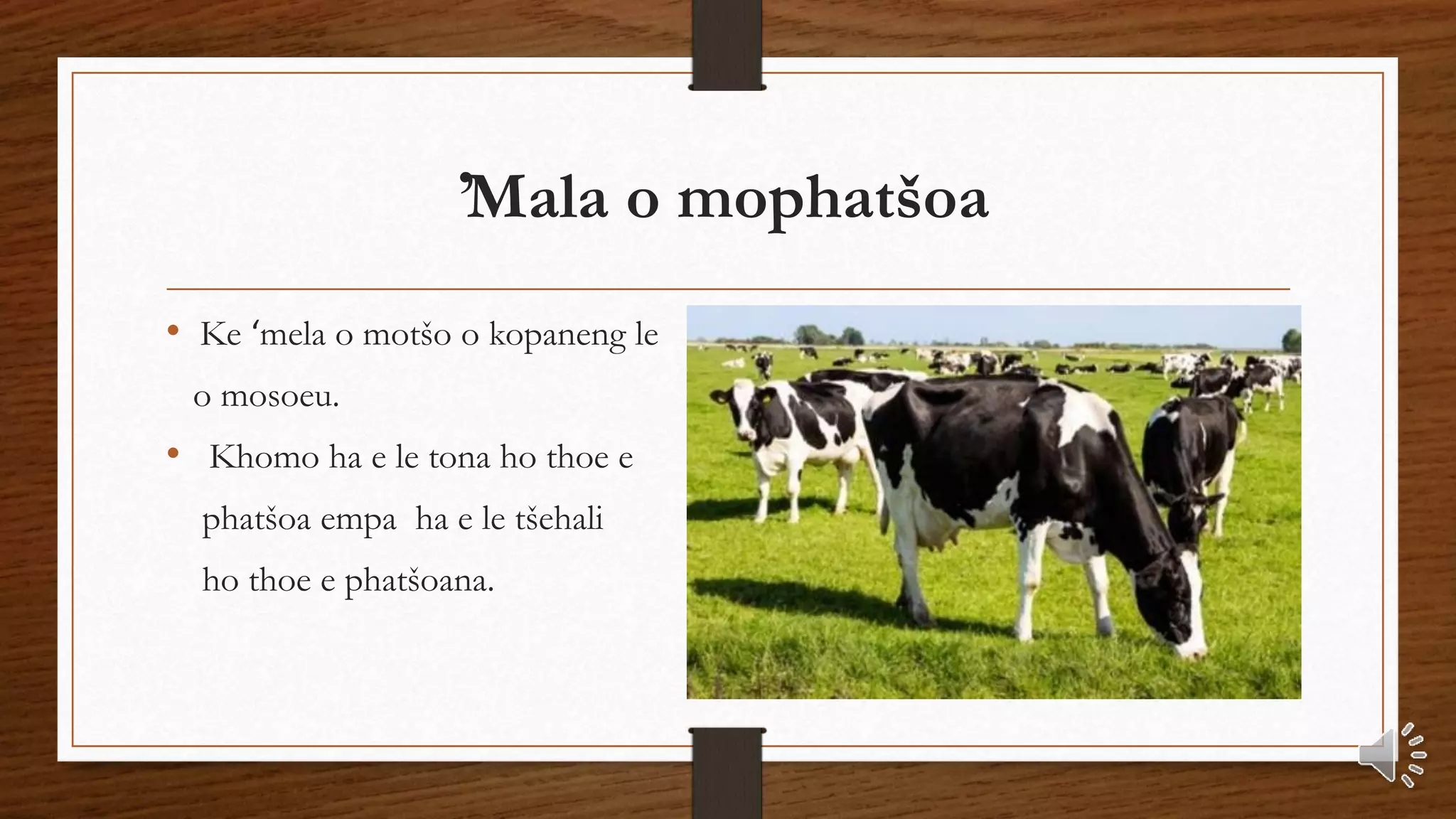 MEBALA EA LIKHOMO.pptx