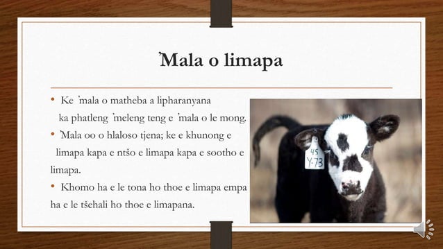 MEBALA EA LIKHOMO.pptx