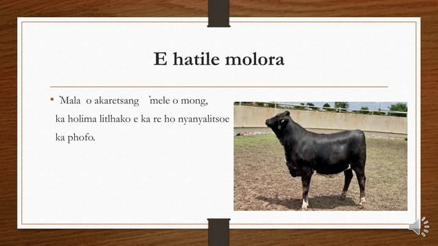 MEBALA EA LIKHOMO.pptx