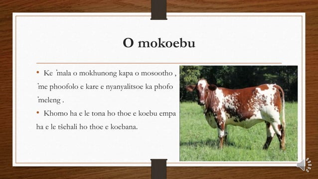 MEBALA EA LIKHOMO.pptx