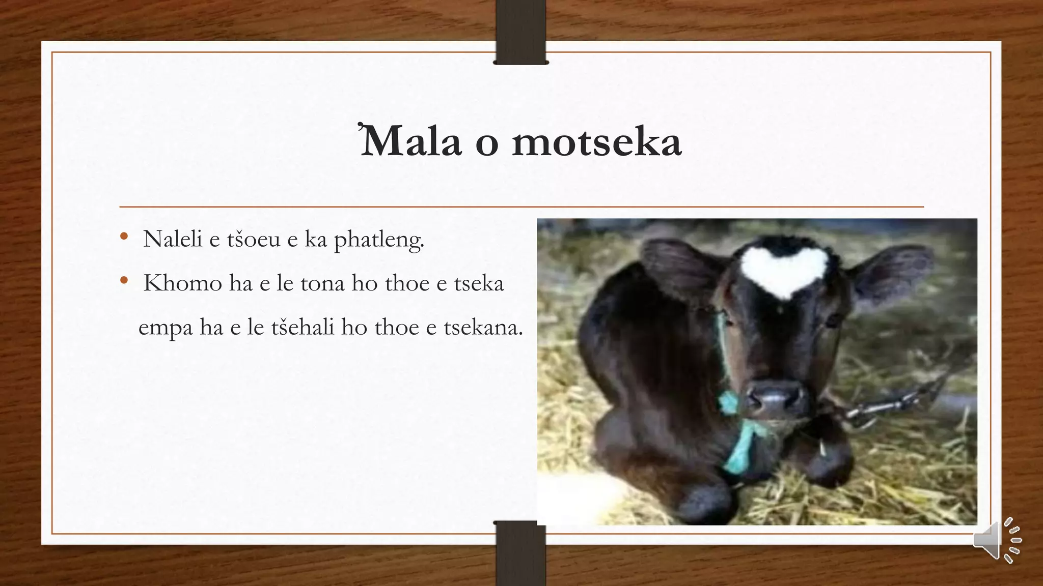 mebala ea likhomo.pptx