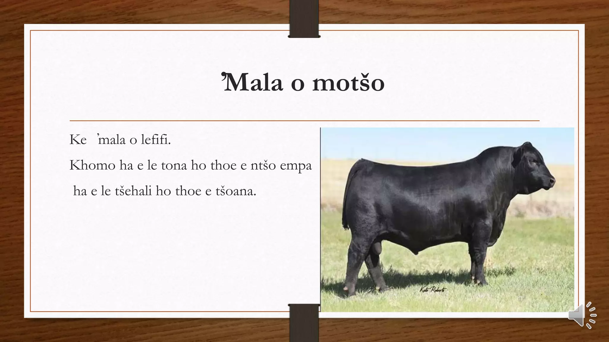 mebala ea likhomo.pptx