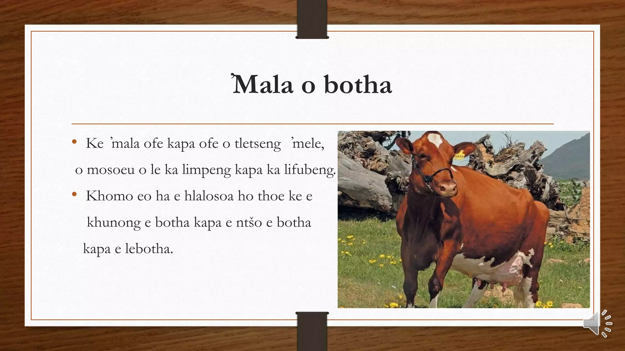 mebala ea likhomo.pptx