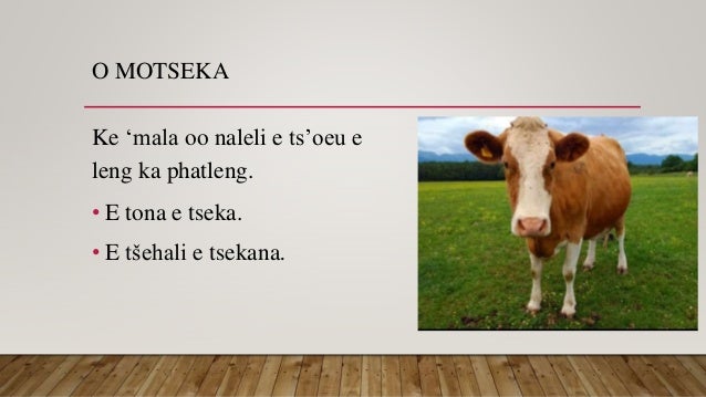 MEBALA EA LIPHOOFOLO.pptx