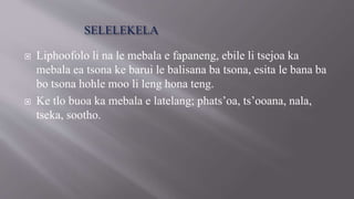 MEBALA EA LIPHOOFOLO.pptx