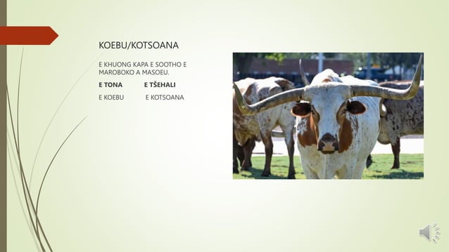 MEBALA EA LIPHOOFOLO.pptx