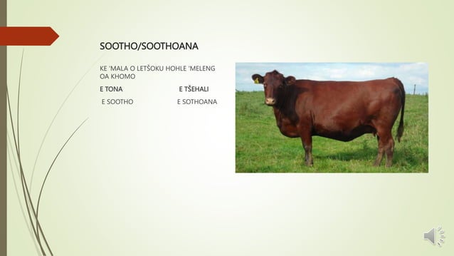 MEBALA EA LIPHOOFOLO.pptx