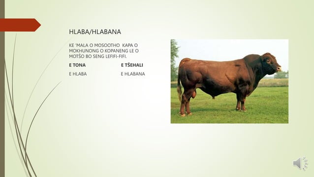 MEBALA EA LIPHOOFOLO.pptx