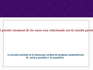 Mecanica circulatoria | PPT