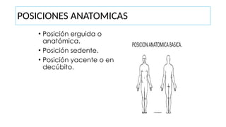 MECANICA CORPORAL - MOVIMIENTOS CORPORALESS.pptx