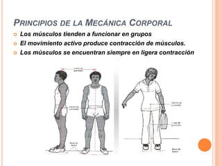 Mecanica corporal expo | PPTX