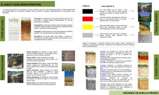 Mecanica De Suelo | PPT
