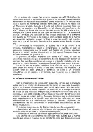 Mecanica muscular | PDF