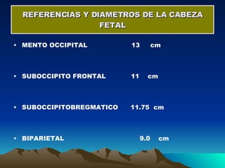 Mecanismo Del Parto | PPT