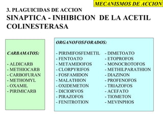Mecanismo de accion insecticidas | PPT
