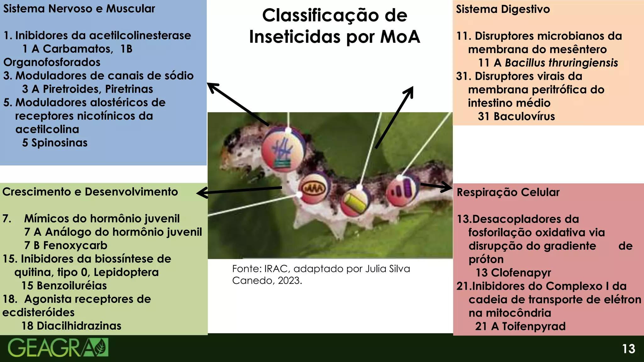 Mecanismo de ação de inseticidas | PPTX