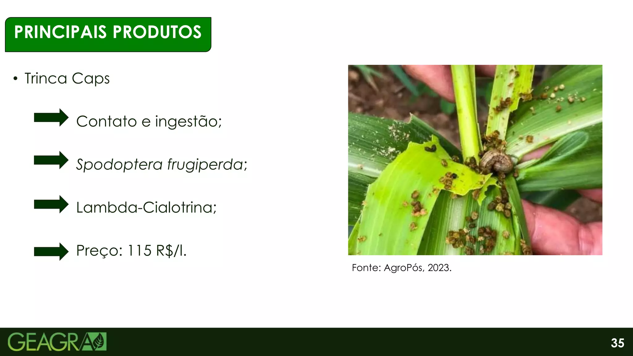 Mecanismo de ação de inseticidas | PPTX