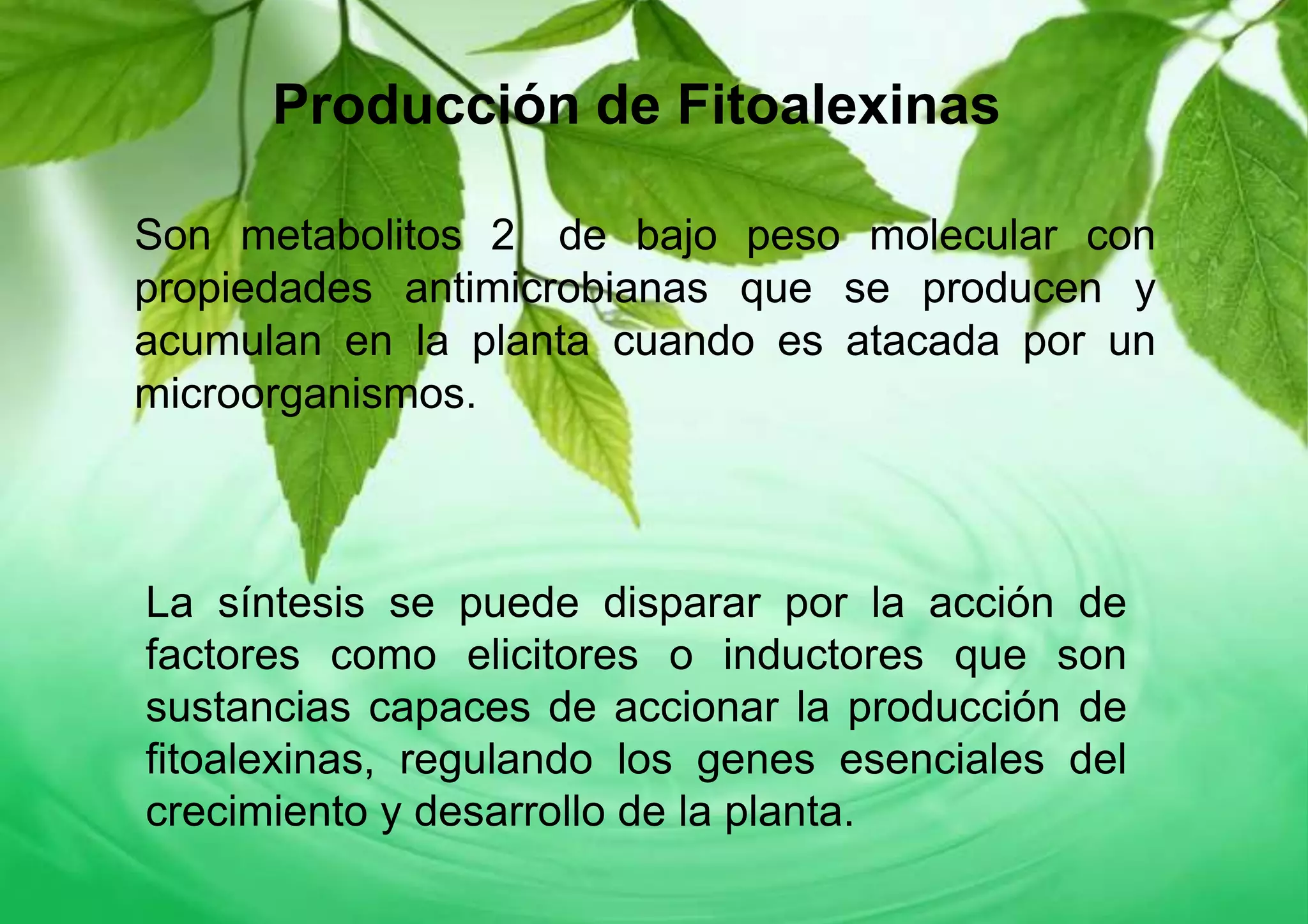 Mecanismo de defensa de las plantas | PPTX
