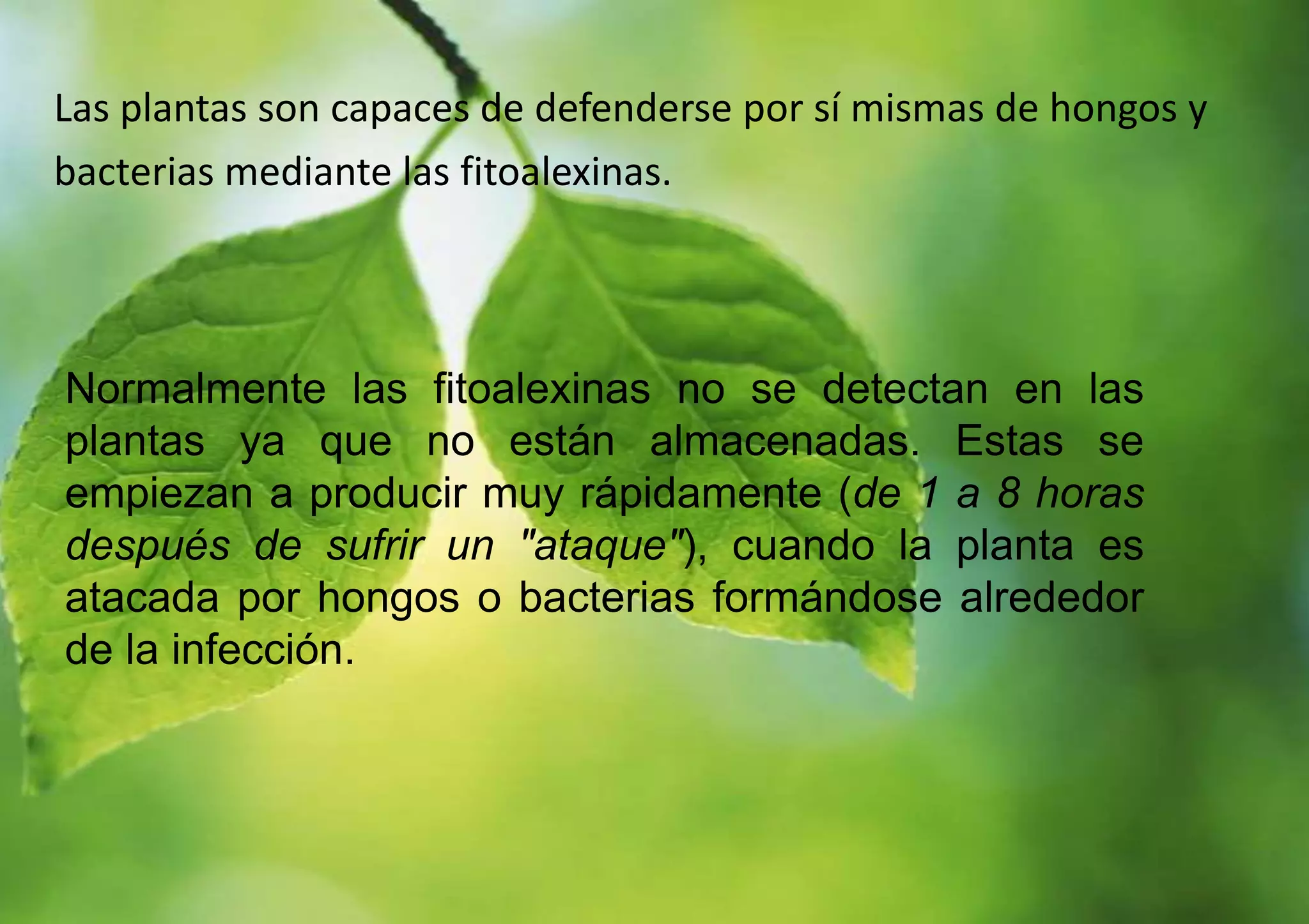 Mecanismo de defensa de las plantas | PPTX