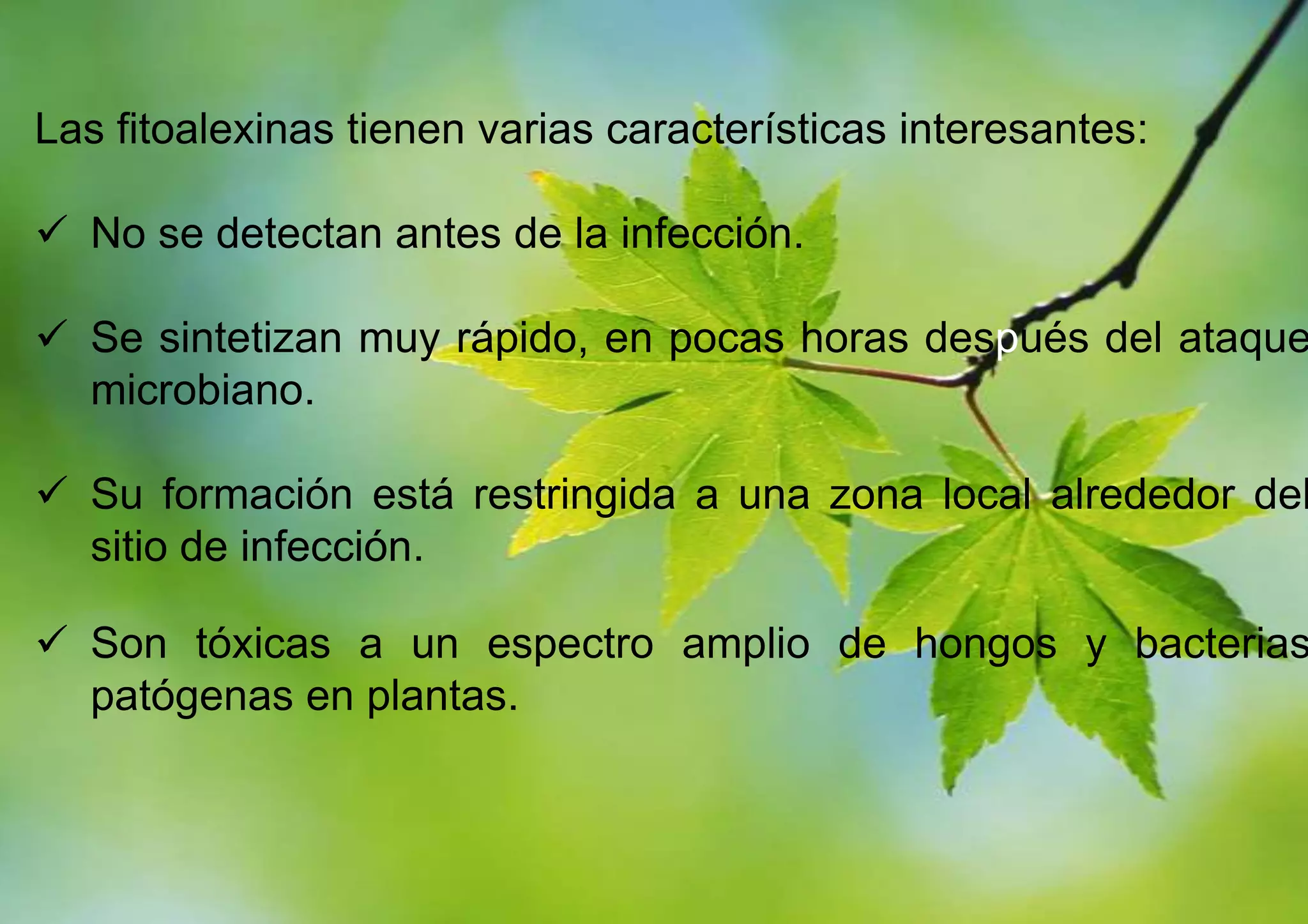 Mecanismo de defensa de las plantas | PPTX