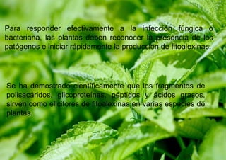 Mecanismo de defensa de las plantas | PPTX