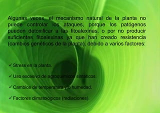 Mecanismo de defensa de las plantas | PPTX