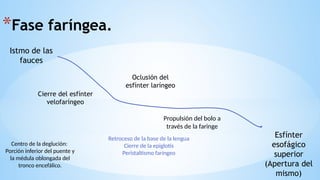 LOS MECANISMOS PARA DAR UNA BUENA DEGLUCION | PPTX