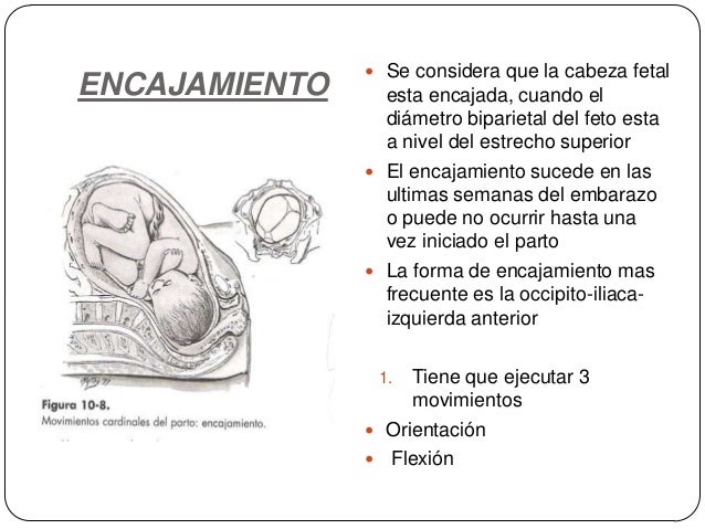 Mecanismo del trabajo de parto