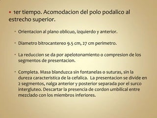 Mecanismo de parto | PPTX