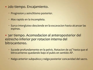 Mecanismo de parto | PPTX