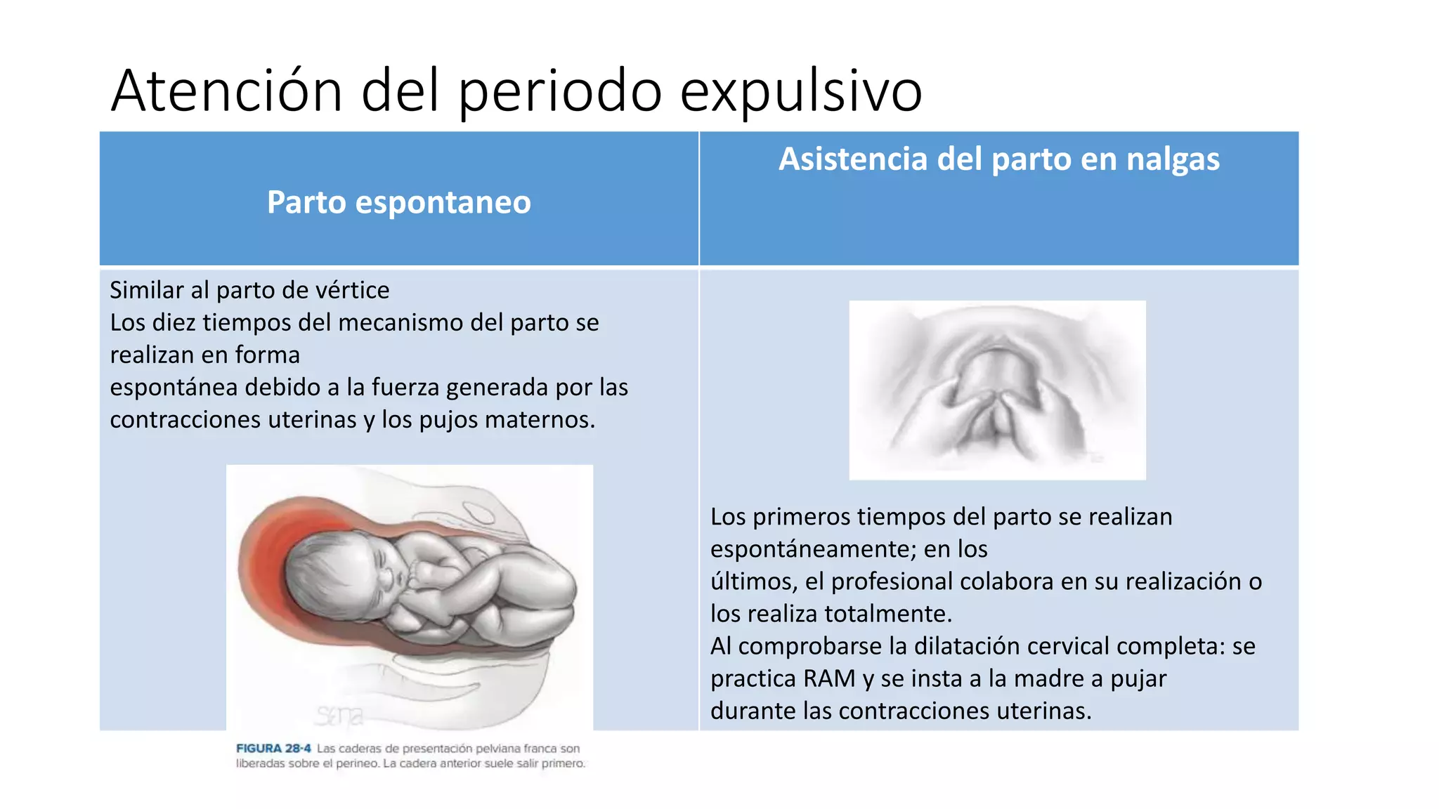 Mecanismo de parto.pptx