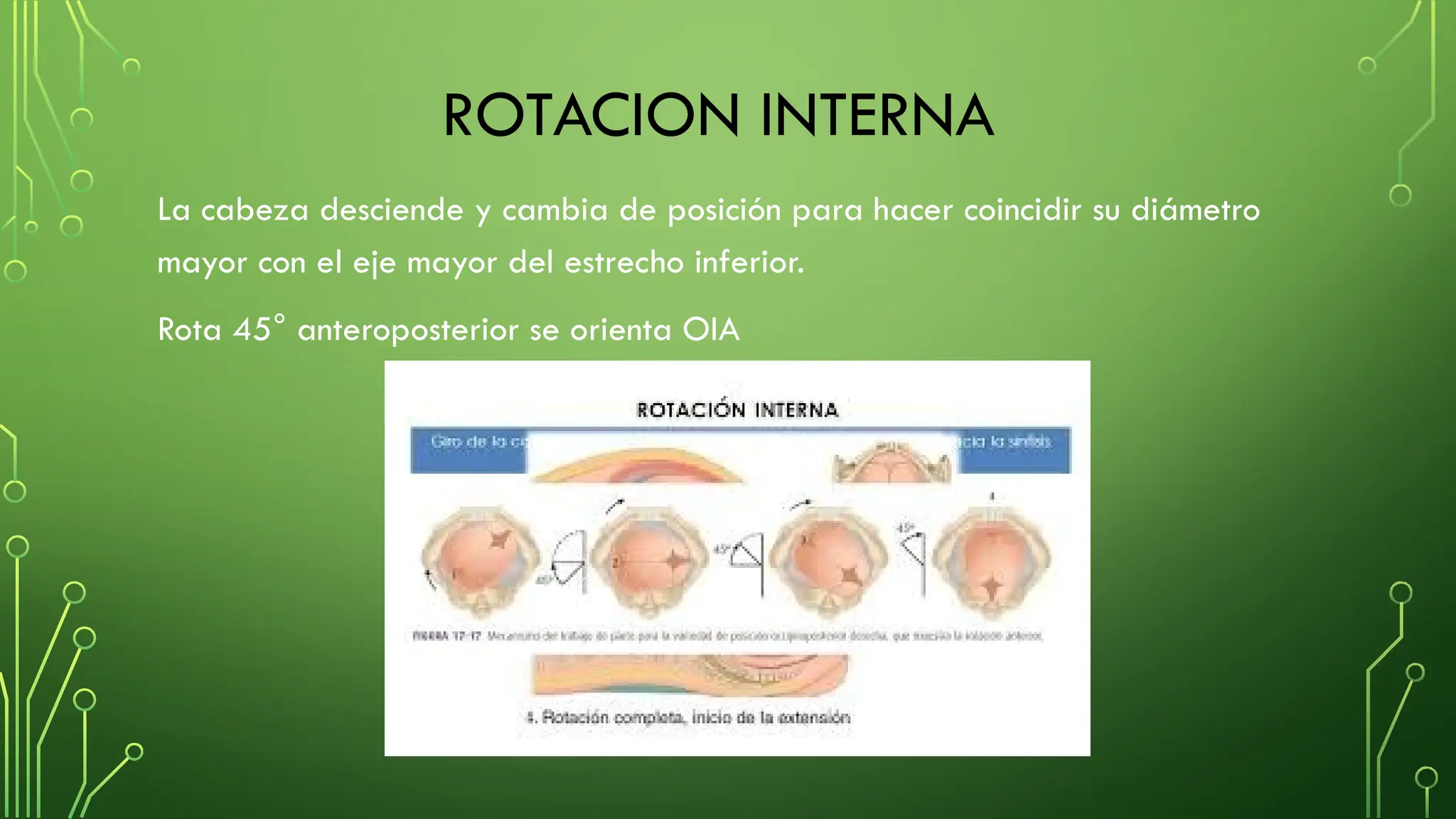 MECANISMO DE PARTO Y PARTO EUTOCICO.pptx