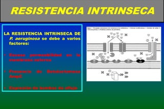 Mecanismo de Resistencia de BGNF | PDF
