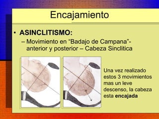 Mecanismo De Trabajo De Parto | PPT