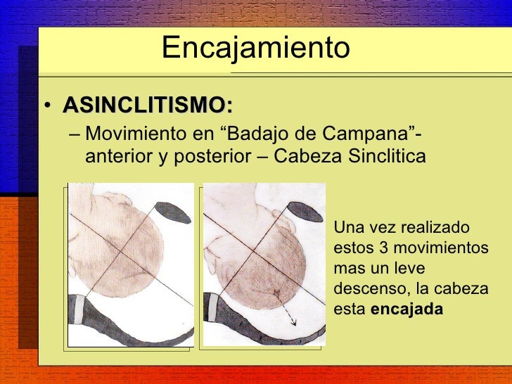 Mecanismo De Trabajo De Parto