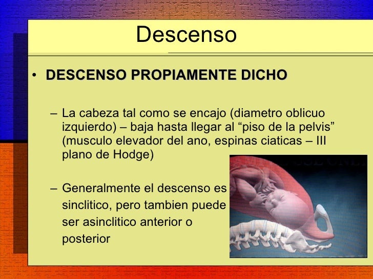 Mecanismo De Trabajo De Parto