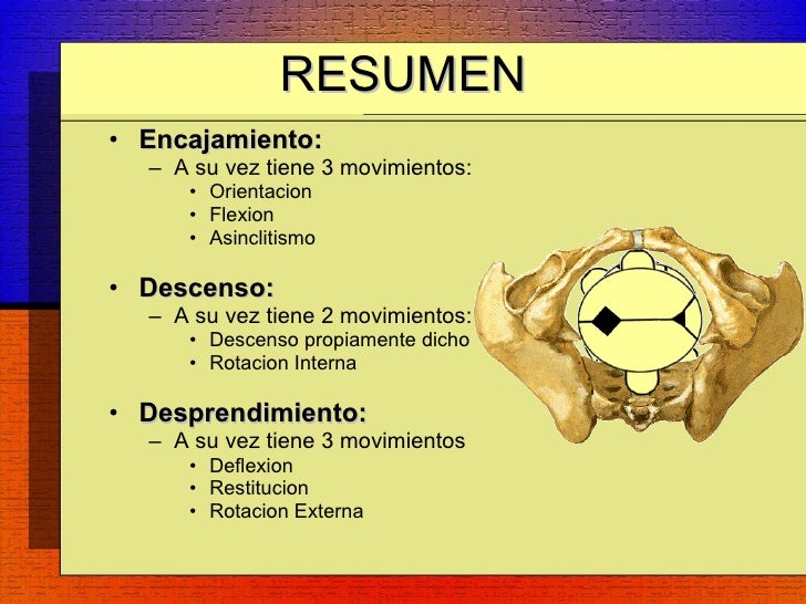 Mecanismo De Trabajo De Parto