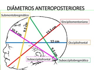 mecanismo de trabajo de parto y atención-1.pptx