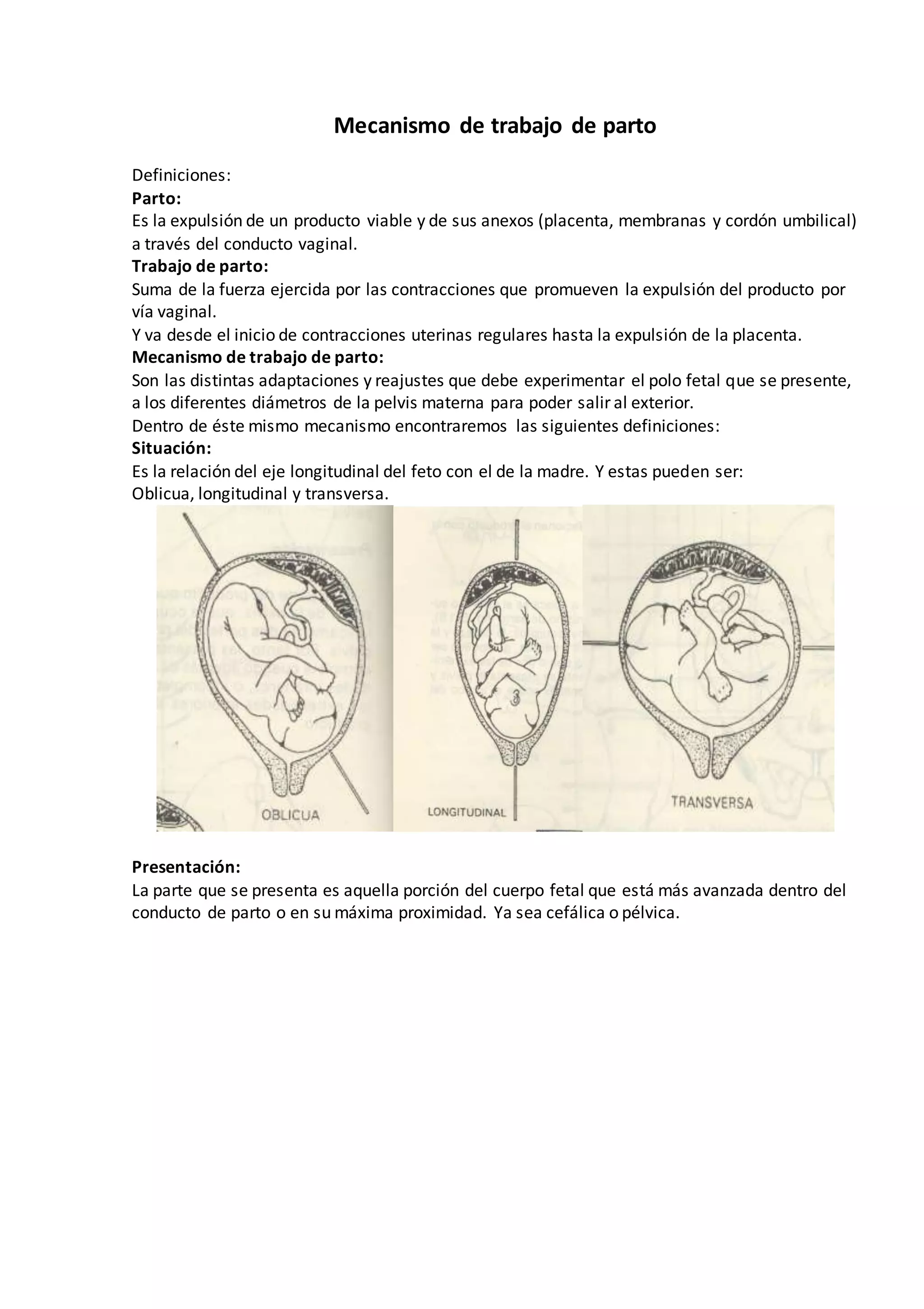 Mecanismo de trabajo de parto | DOCX