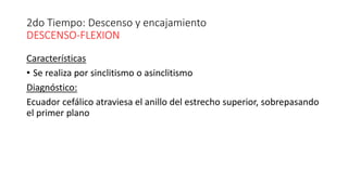 Mecanismo de trabajo de parto.pptx