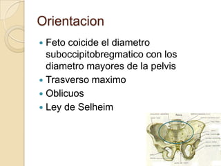 Mecanismo de trabajo de parto | PPTX