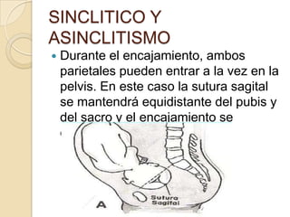 Mecanismo de trabajo de parto | PPTX